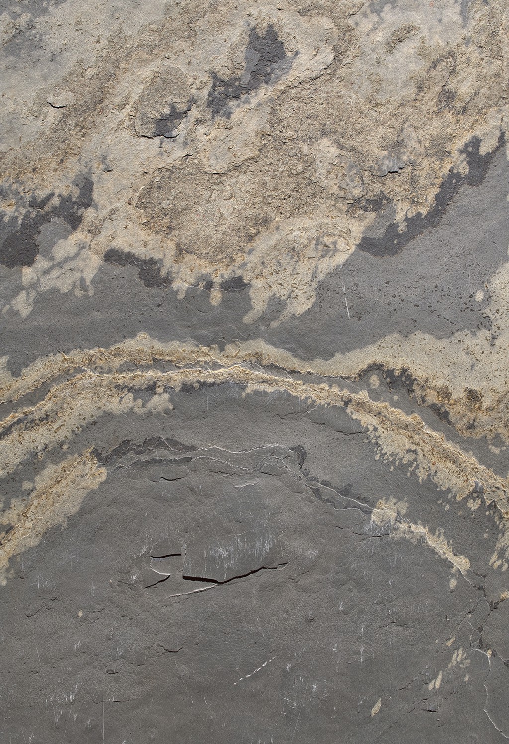 La feuille de pierre naturelle pour décorer vos intérieurs