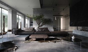 Les arbres d'intérieur s'invitent dans nos maisons